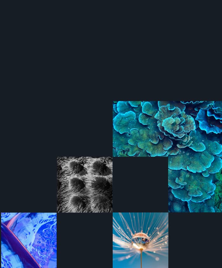 Labguru Website | Blend